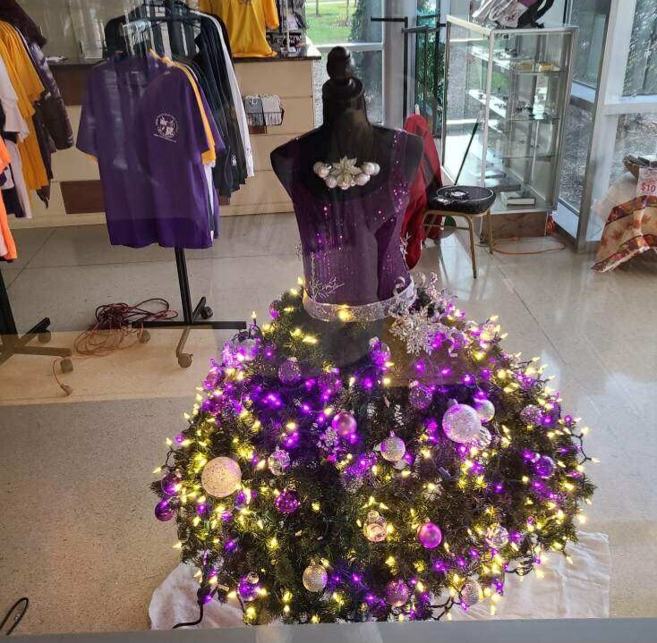 Meet Deborah Powell - Dreams to Hold Onto